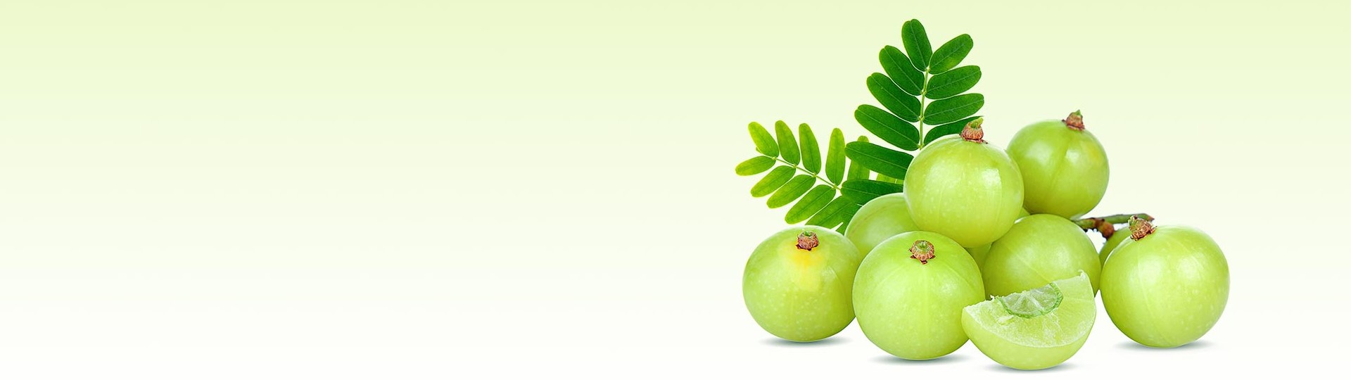 Home | Sabinsa Canada Inc. | Health Nutrition Industry